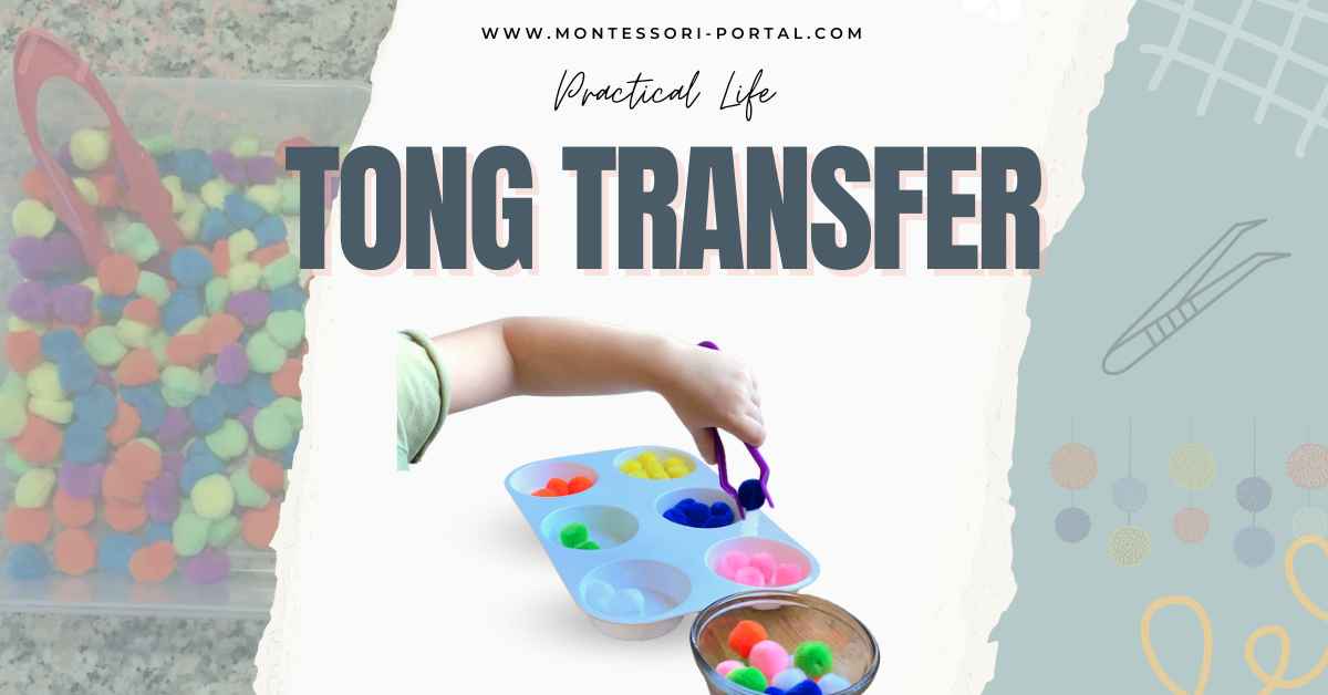 Tong Transfer » Montessori Portal